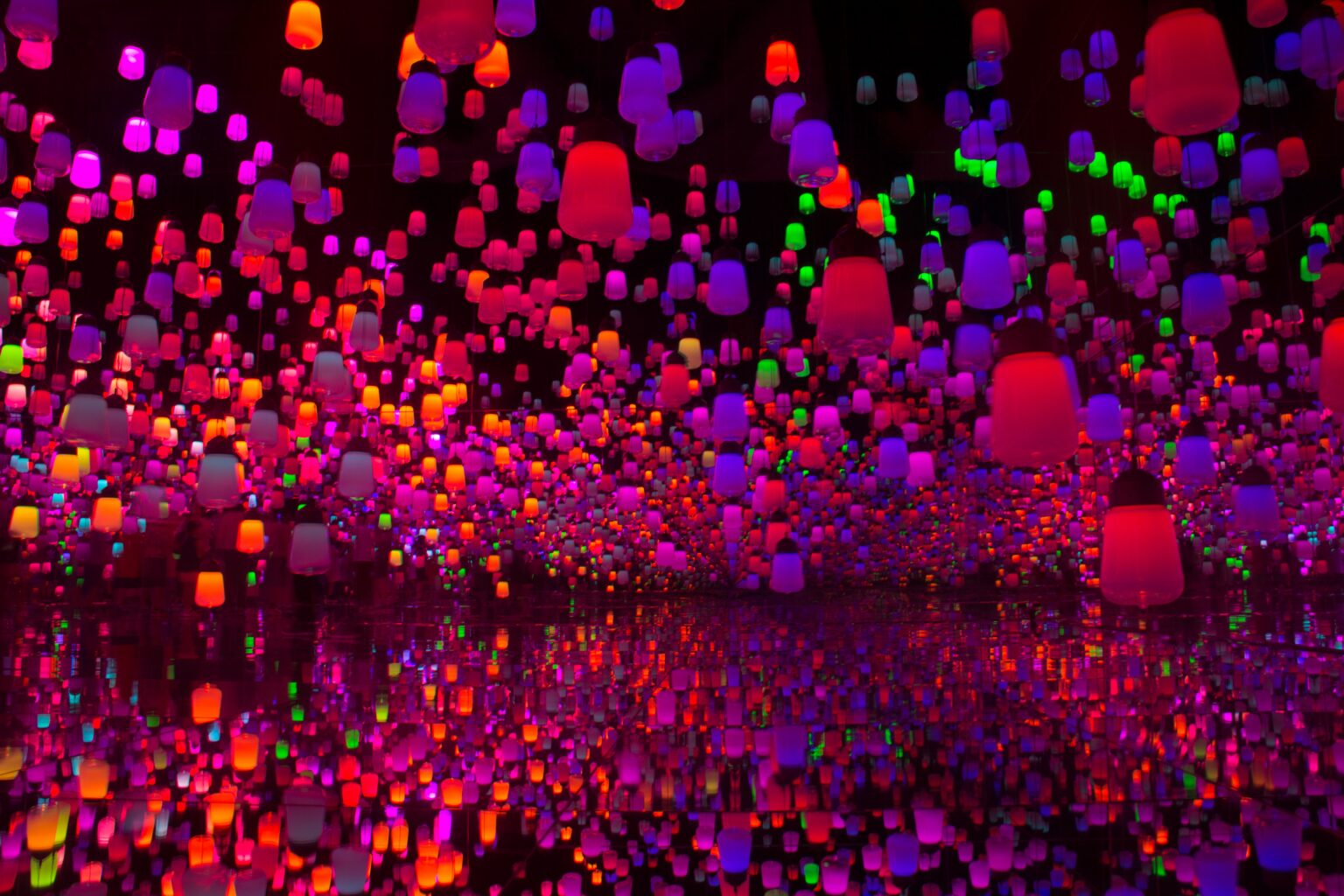 Lights Festival - OnePlan Events