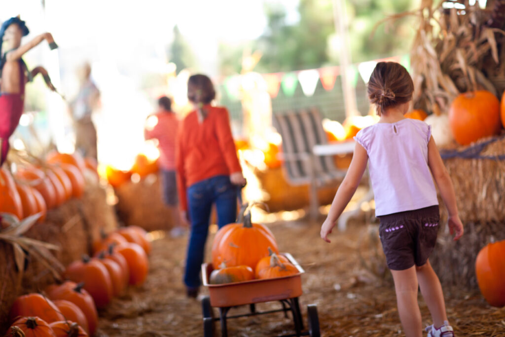 How to: Plan a Fall Festival - OnePlan